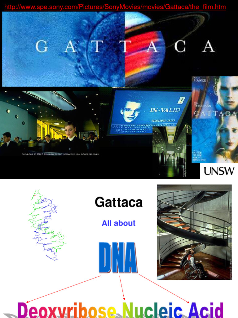 Gattaca | PDF | Gene | Dna