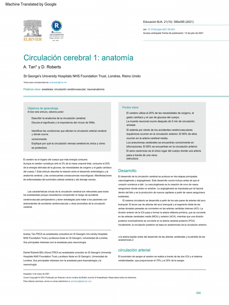 Circulacion Cerebral 1 | PDF | Carrera | Isquemia