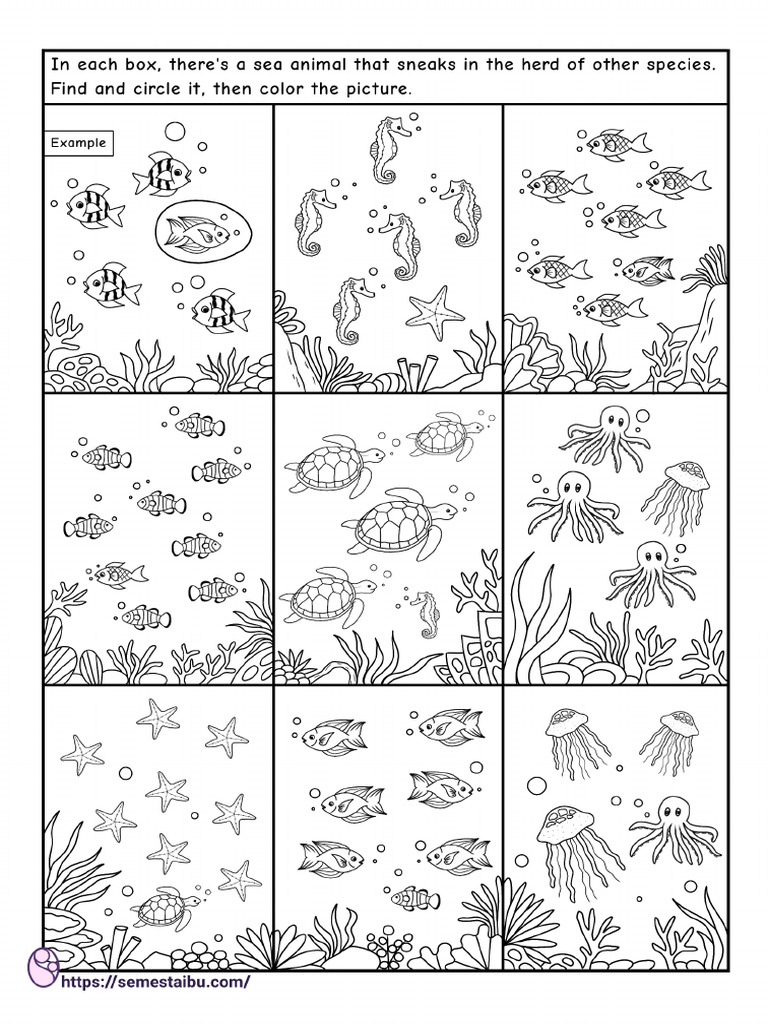 Same and Different Visual Discrimination Sea Animals | PDF