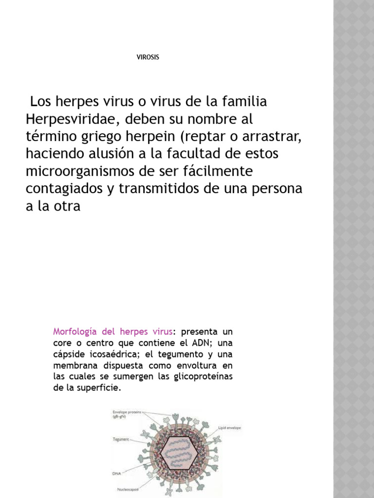 7 Virosis | PDF | Virus | Inmunología