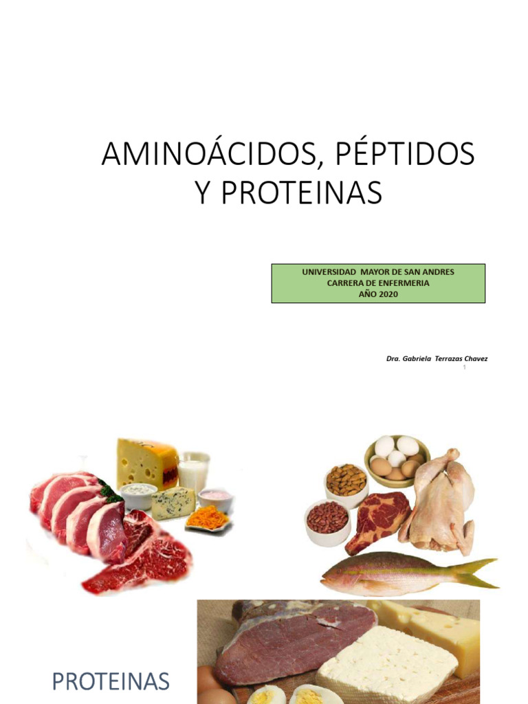 Aminoácidos, Péptidos y Proteínas: Guía Completa | PDF | Aminoácidos ...
