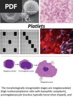 Interpreting IDEXX ProCyte Dx Dot Plots | PDF | White Blood Cell ...