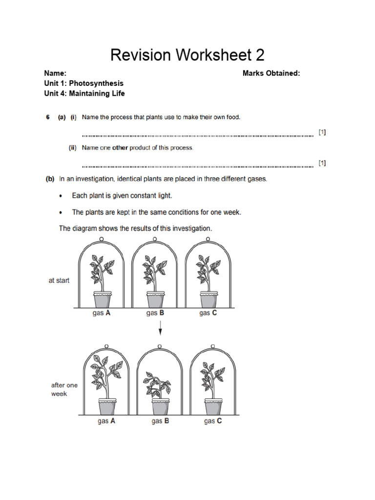 Revision Worksheet 2 Y9 | PDF | Science & Mathematics