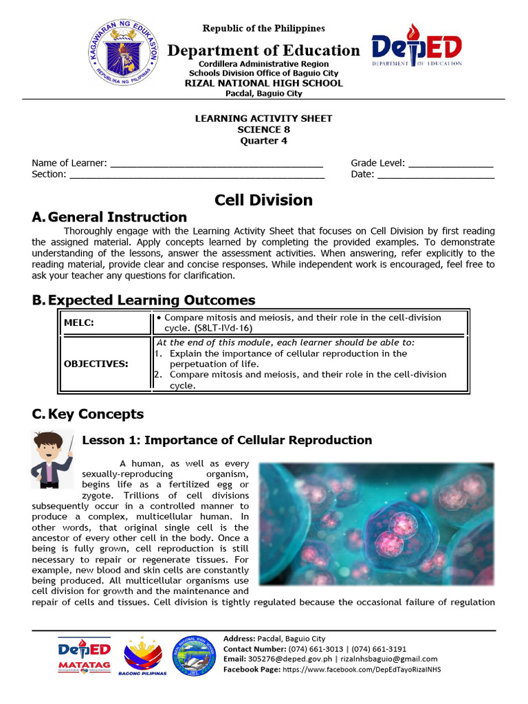 Learning Activity Sheet Science 8 Cell Division | PDF | Cell (Biology ...