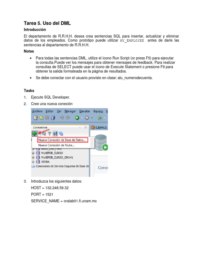 Tarea6 Ejercicios DML DDL | PDF | Information Technology Management | Computer Programming