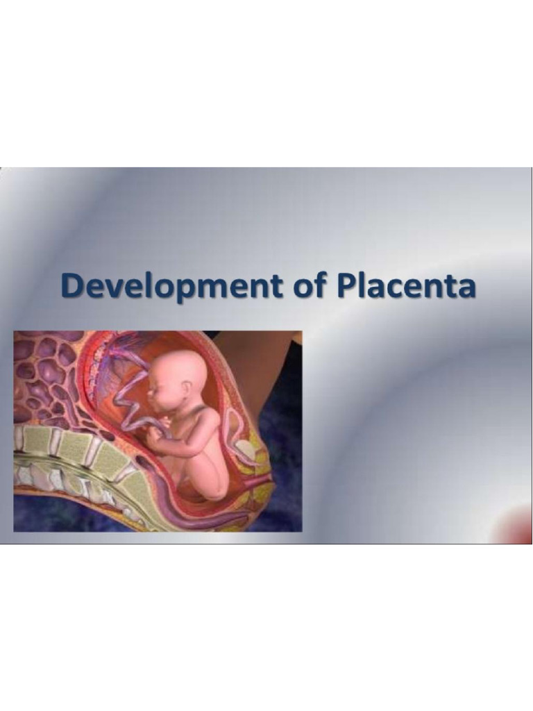 Placenta PDF - ScanFile | PDF