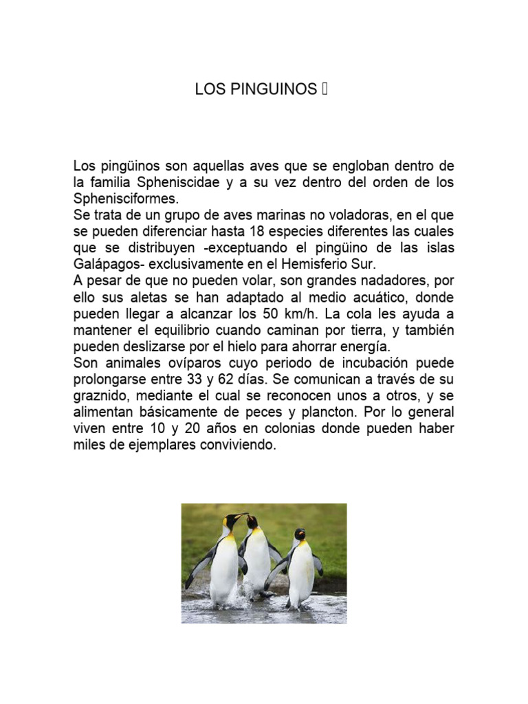 Los Pinguinos ? | PDF | Pingüino | Aves