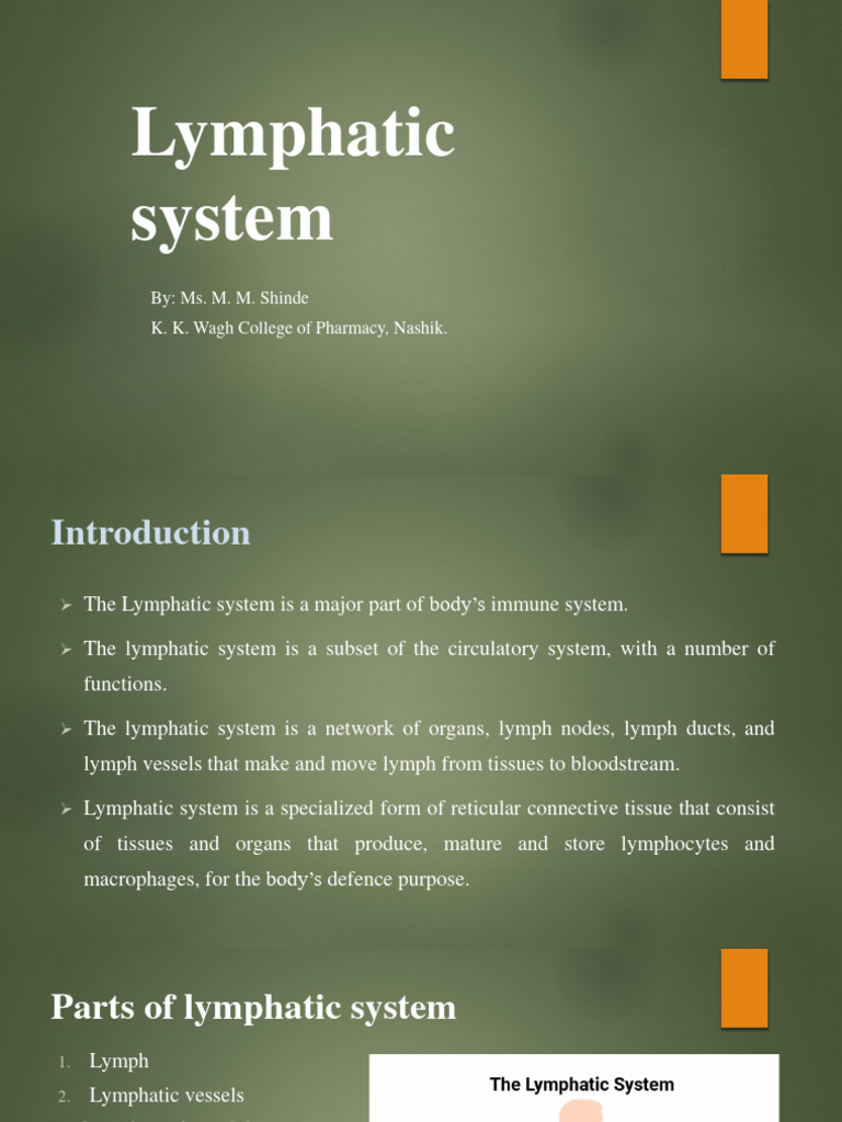 FY- HAP - Lymphatic system | PDF | Lymphatic System | Lymph Node