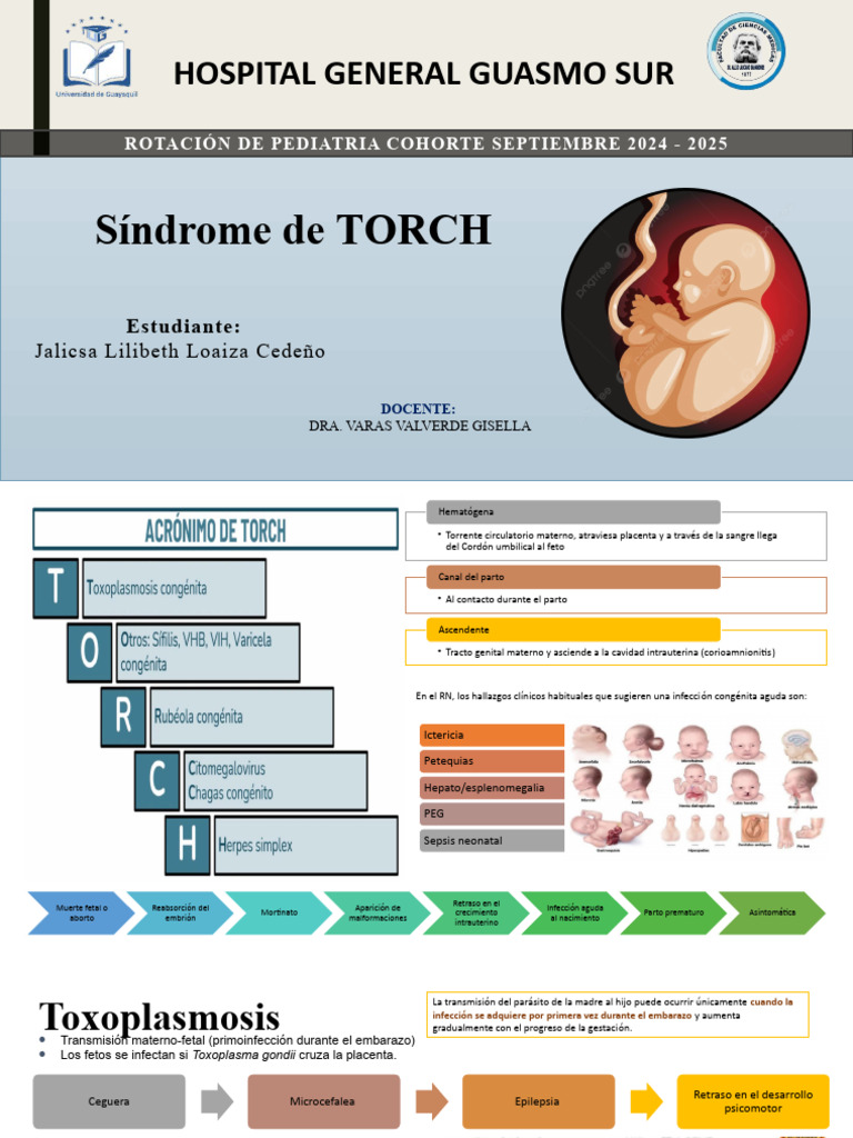 Torch | PDF | Enfermedades y trastornos | Especialidades Medicas