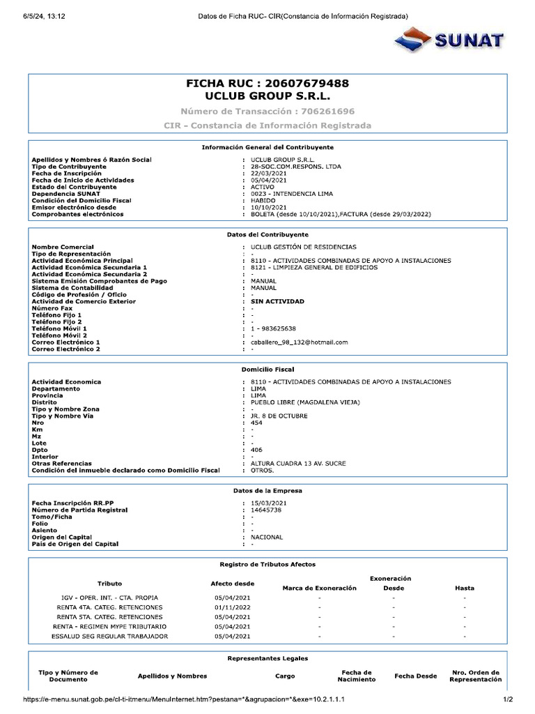 Ficha - Ruc (2) 12 | PDF