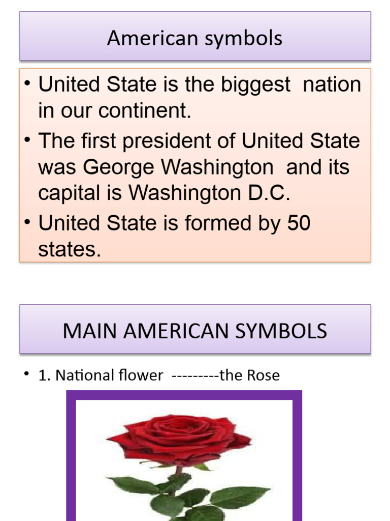 American Symbols 2020 | PDF