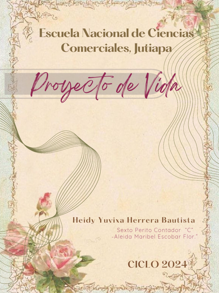 Proyecto de Vida: Perito Contador | PDF | Planificación