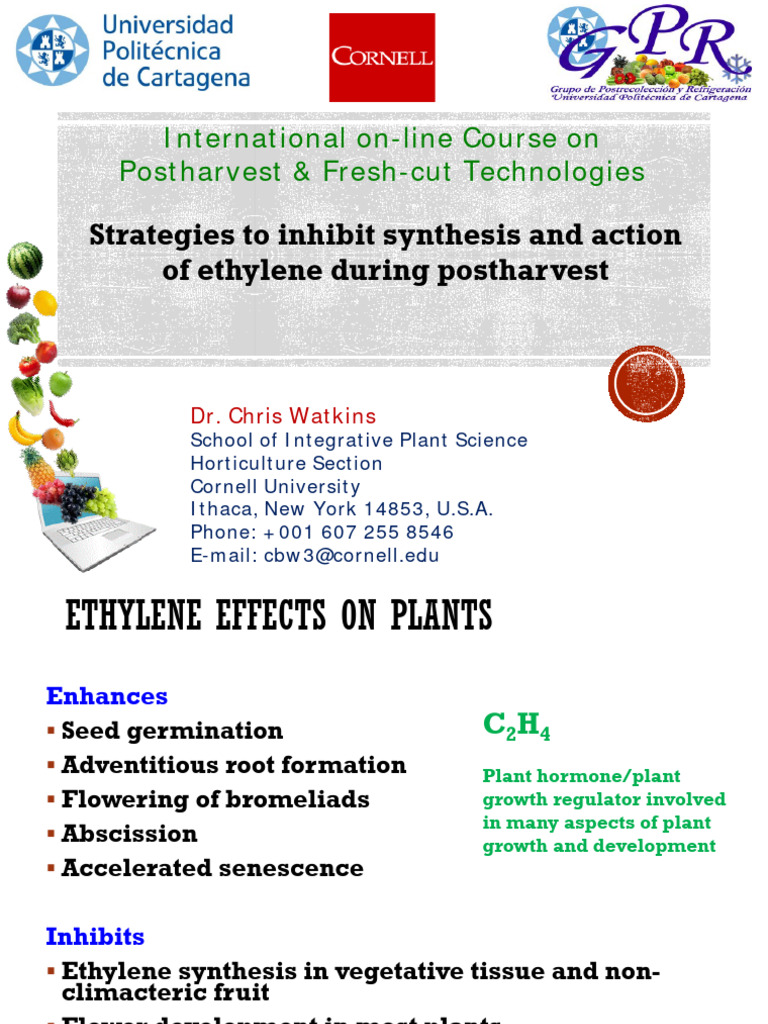 Strategies To Inhibit Synthesis and Action of Ethylene During | PDF ...