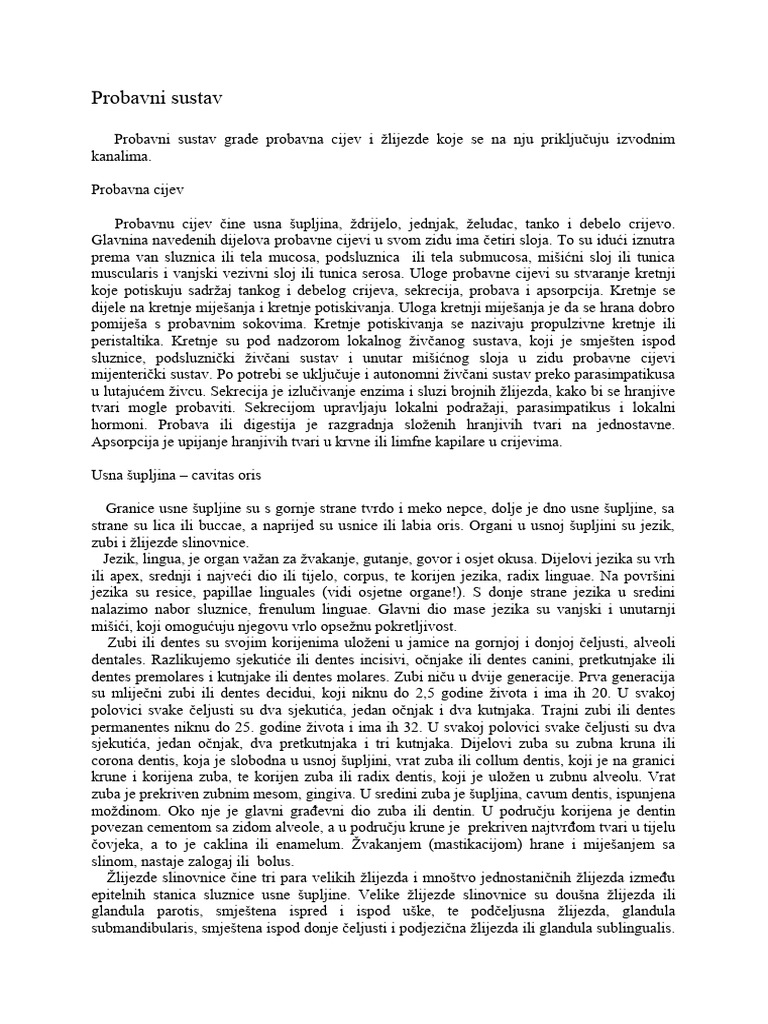 Probavni Sustav | PDF