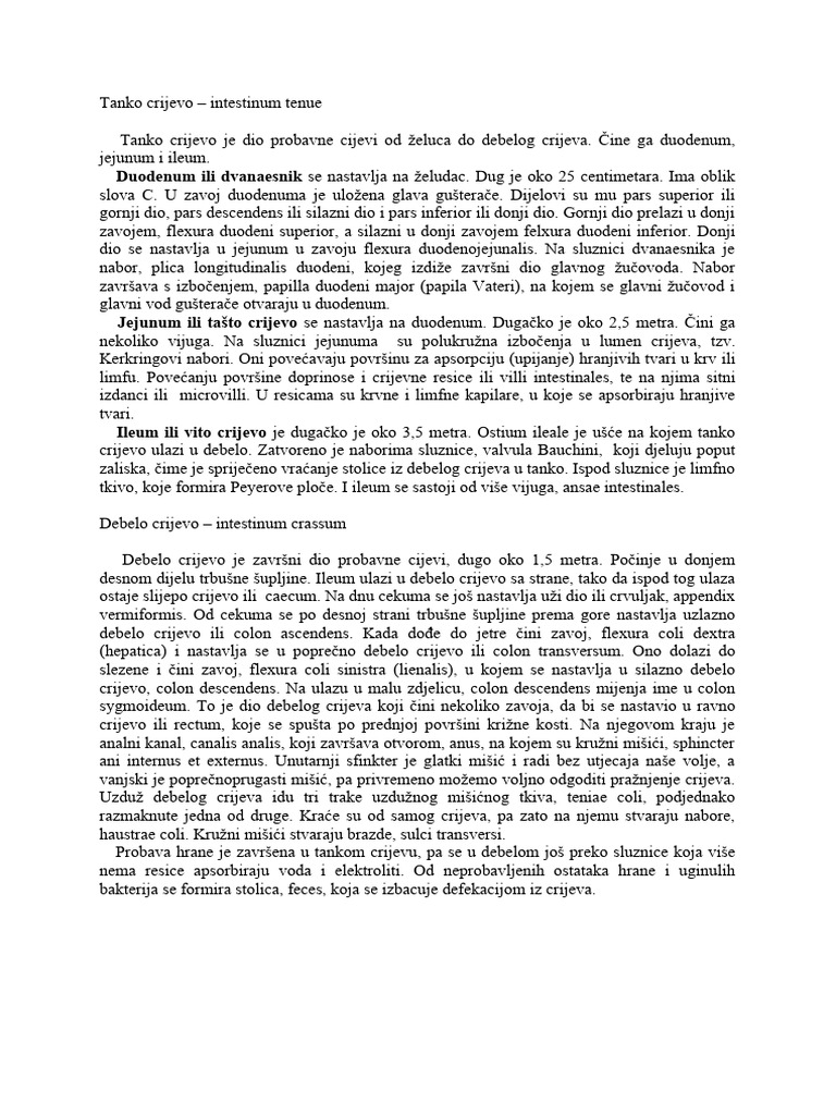 Probavni Sustav | PDF