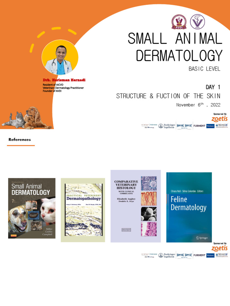 Skin Structure and Function Overview | PDF | Epidermis | Skin