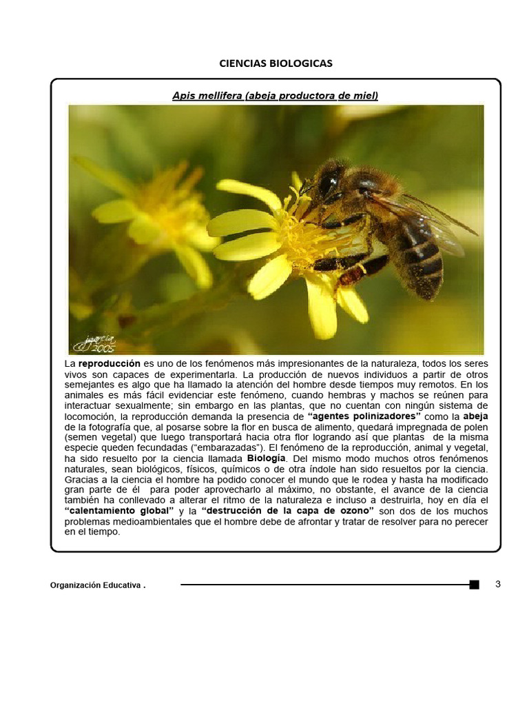 CIENCIAS BIOLOGICAS SEGUNDO | PDF | Contaminación | Science