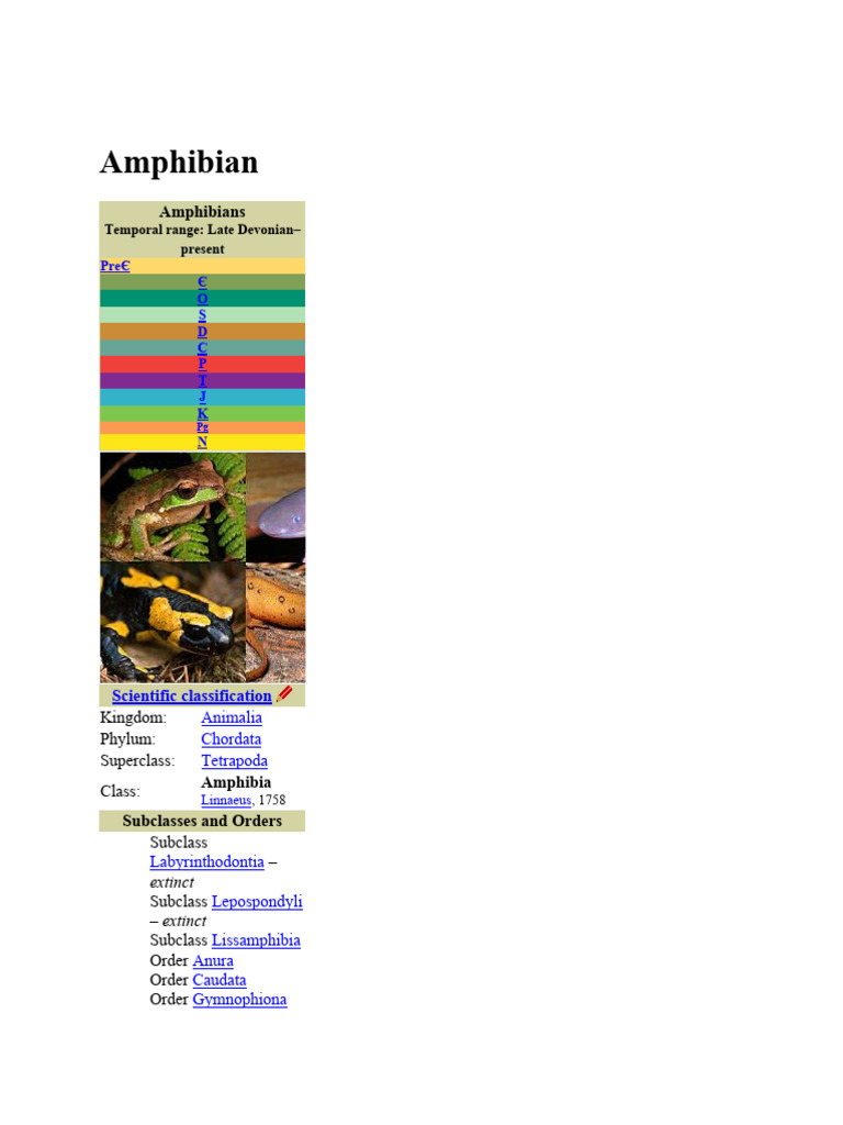 Amphibians 1 | PDF | Amphibian | Frog