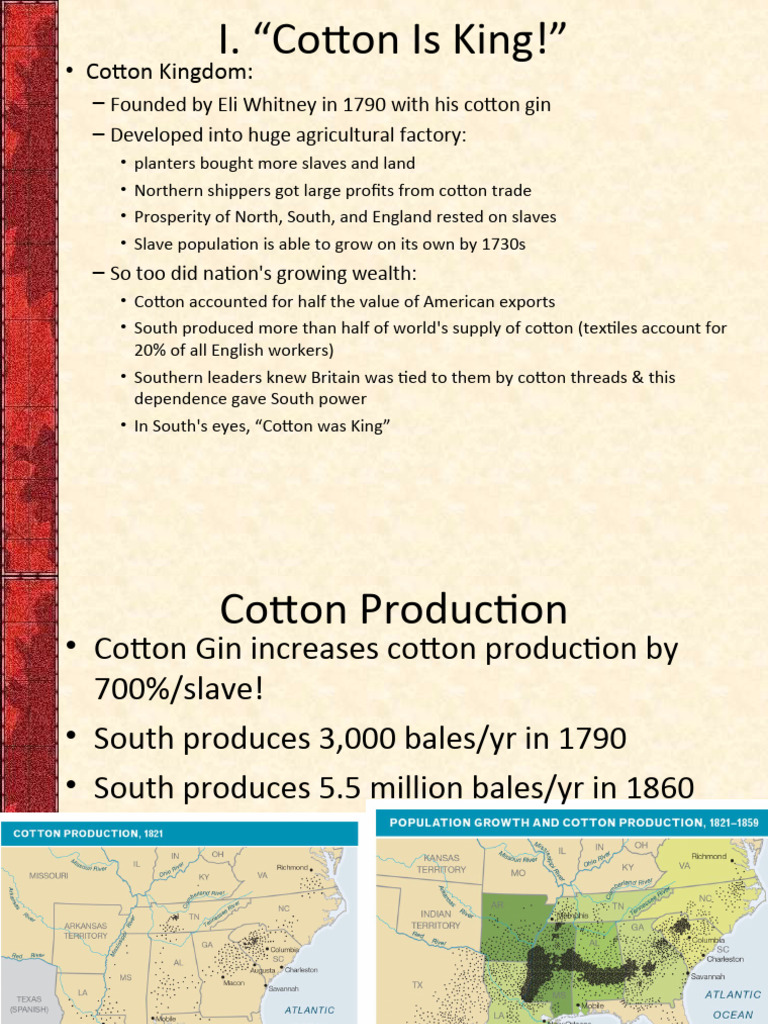 The Economic Impact of Cotton and Slavery | PDF | Slavery | Cotton