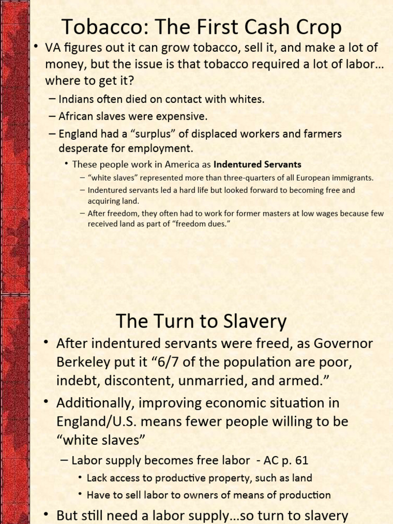 Week 2 - B - American Slavery & King Cotton | PDF | Slavery | Cotton