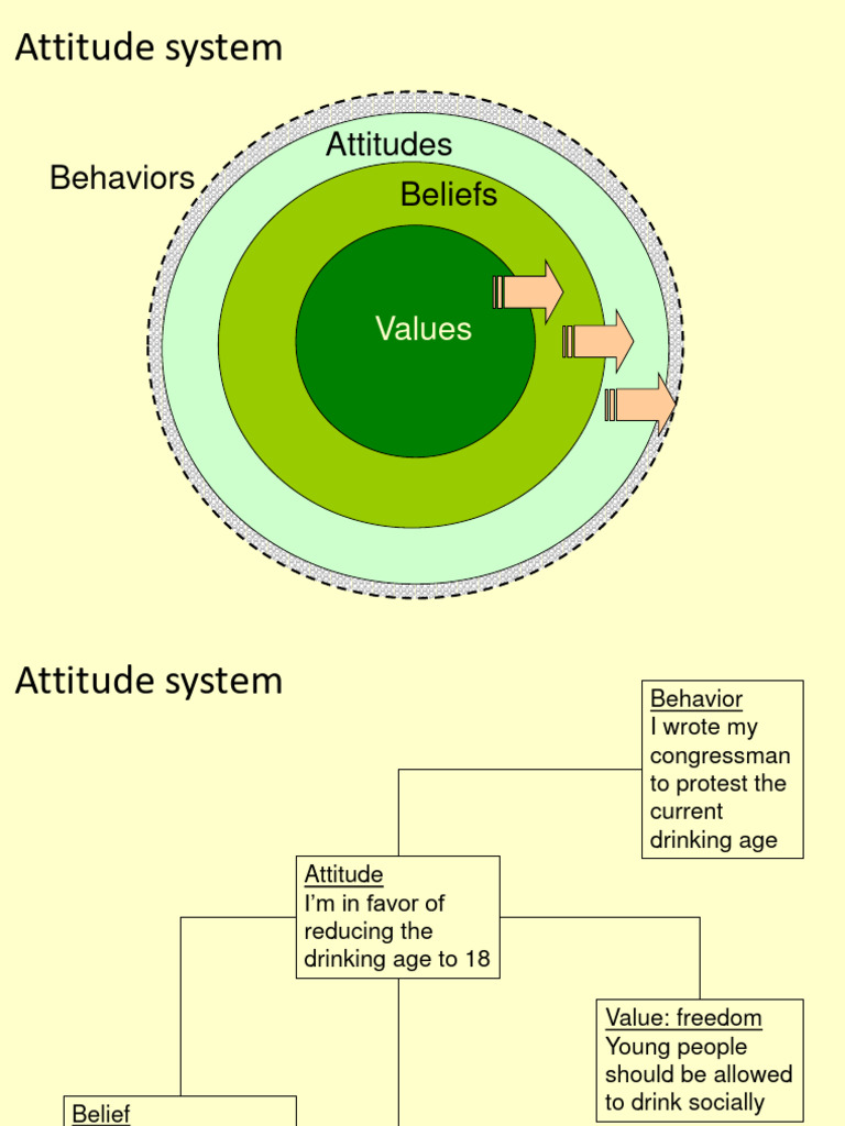 attitude-behavior | PDF | Attitude (Psychology) | Psychology