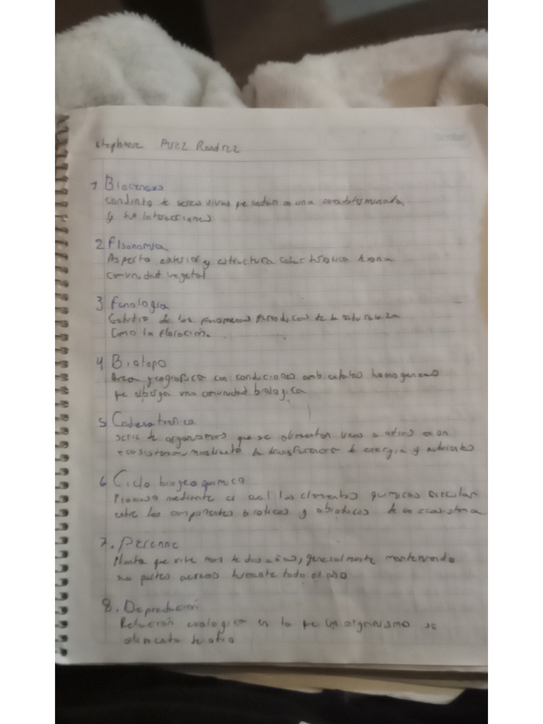 Glosario Stephanie | PDF