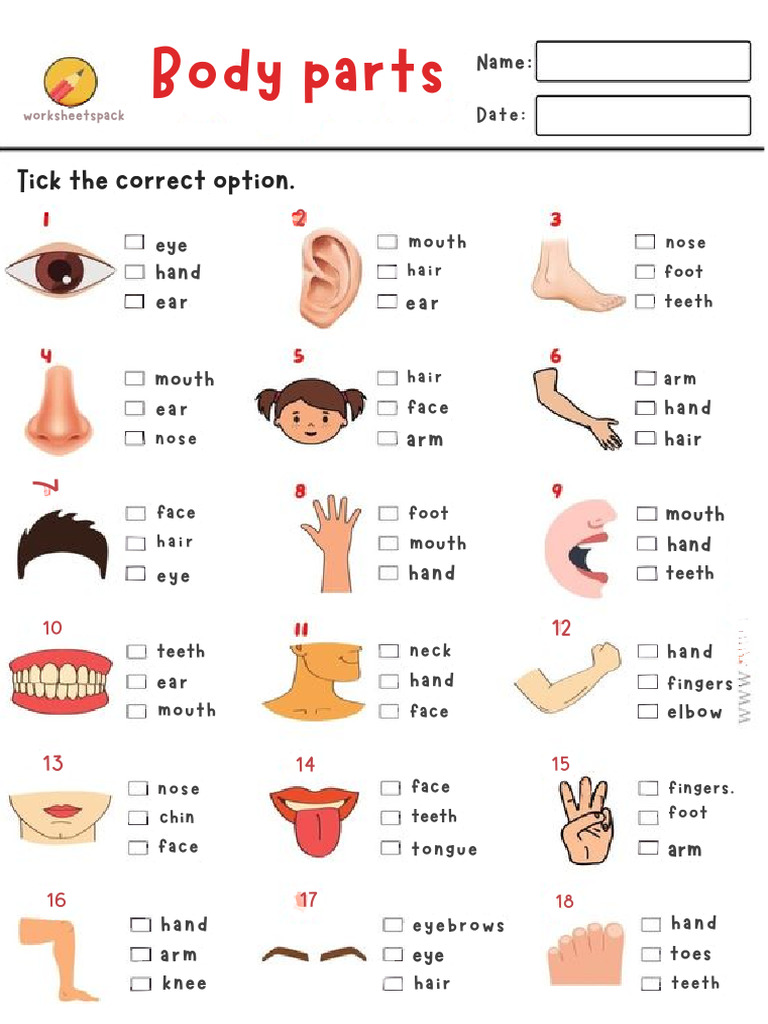 Body Parts Exercices | PDF | Foot | Mouth