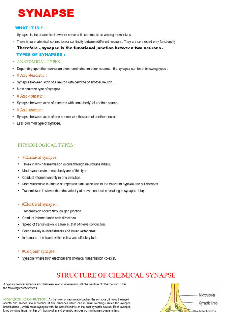 Understanding Synapses: Types & Functions | PDF | Chemical Synapse | Neuron