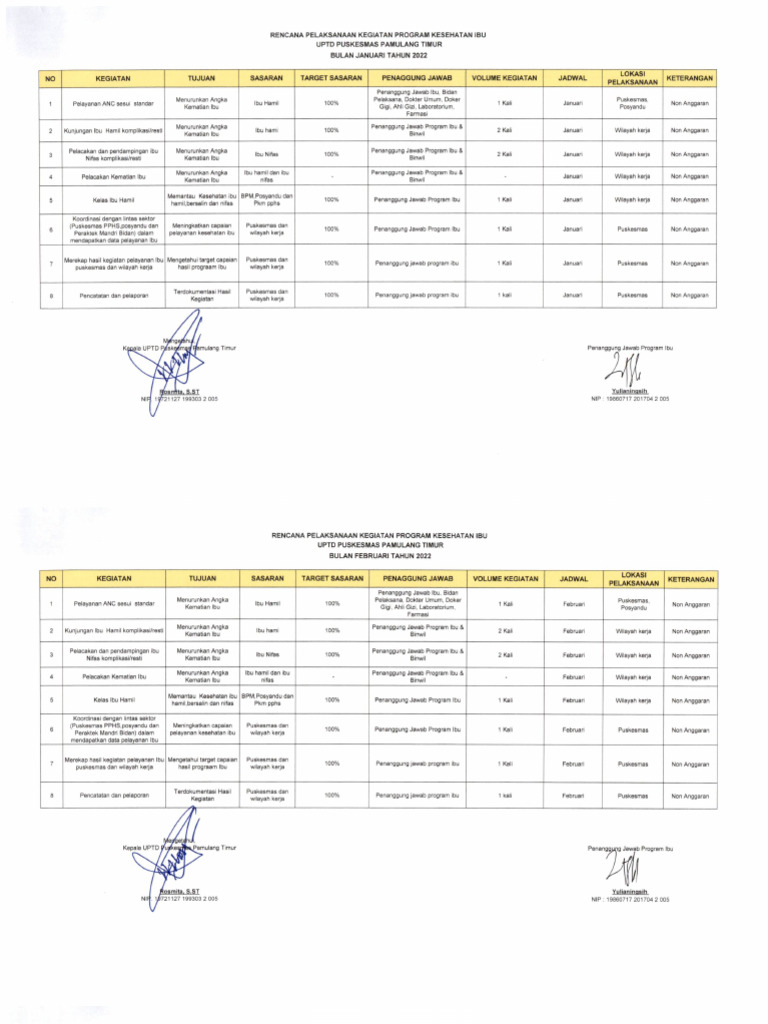 RPK Bulanan Program Ibu Dan Anak | PDF