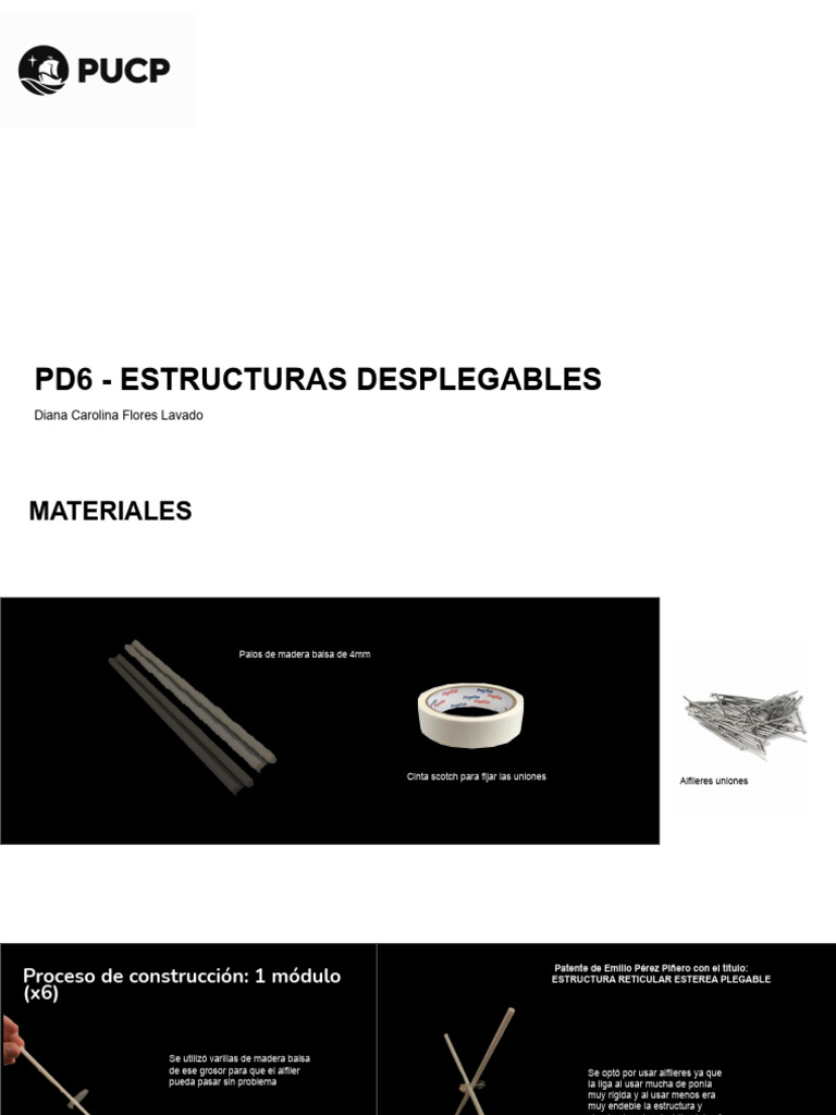 Flores, Diana - P06 | PDF