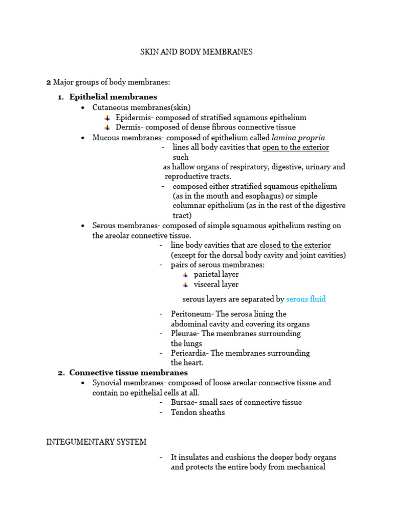 Skin and Body Membranes | PDF | Skin | Epithelium