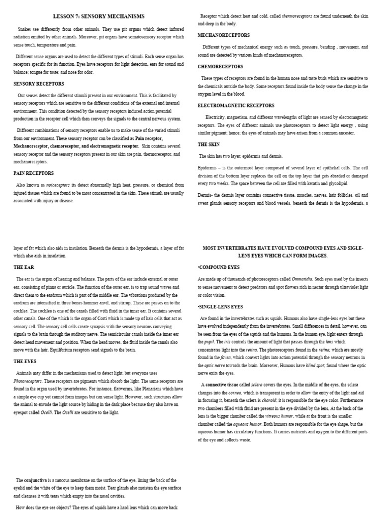 Lesson 7 Bio | PDF | Senses | Eye