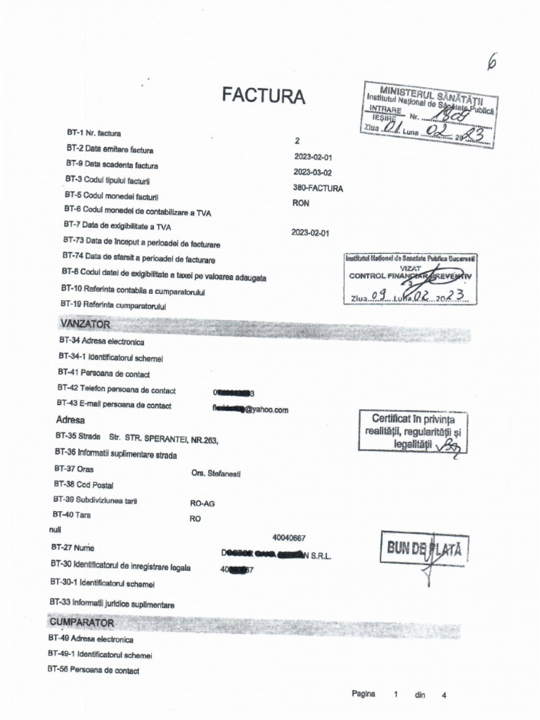 Model e Factura | PDF