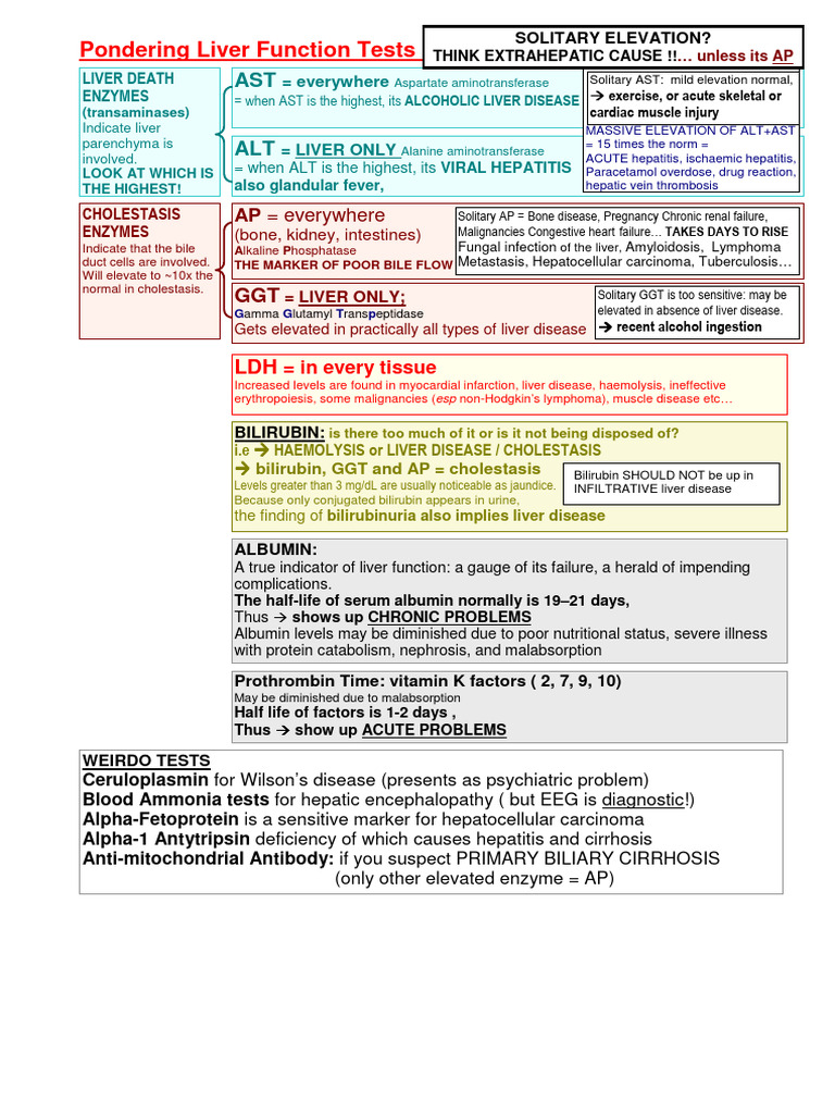 Interpreting Liver Function Tests | PDF | Liver | Diseases And Disorders