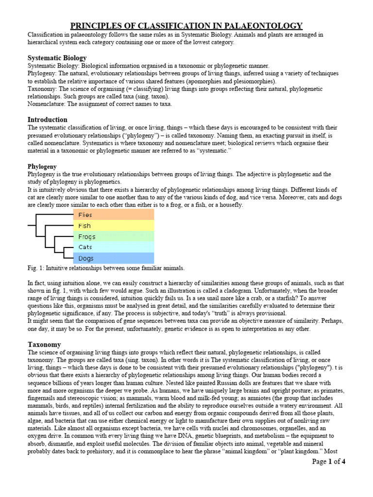 Principles of Classification in Palaeontology | PDF | Taxonomy (Biology) | Phylogenetics