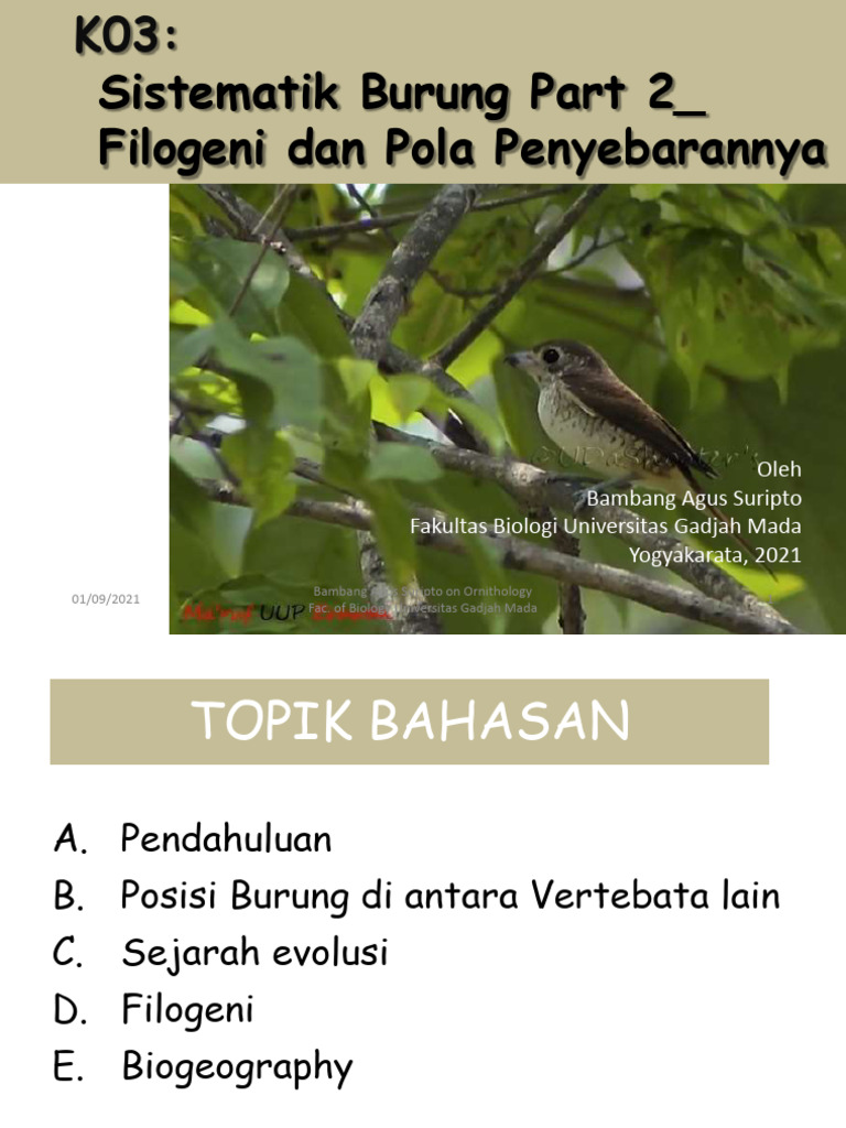 K03-Sistematik Burung Part 2 - Filogeni Dan Pola Penyebarannya ...