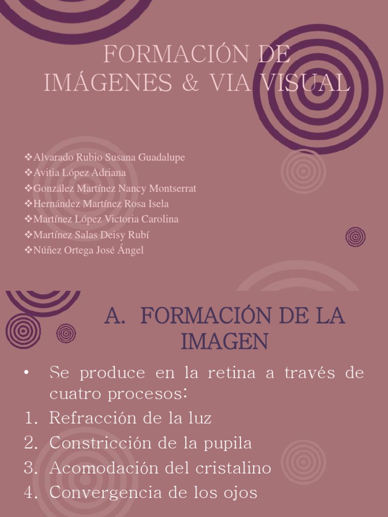 Formación de imágenes y vías visuales: Procesos ópticos de la visión y ...