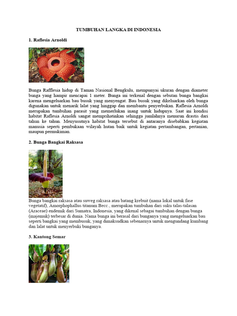 15 Tumbuhan Langka Di Indonesia | PDF