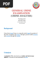 Understanding Your Mid-Stream Urine (MSU) Test Results: Terms Used ...