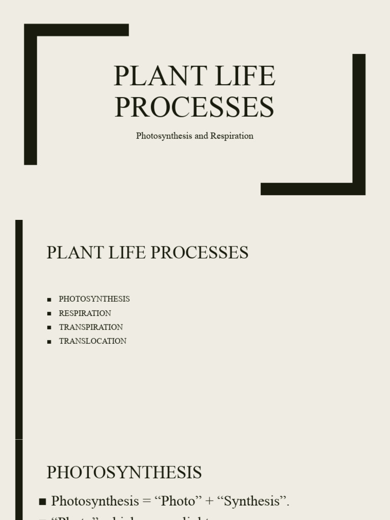 Plant Life Processes (Autosaved) | PDF | Cellular Respiration ...