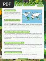 Ava'S - Amazon Rainforest Brochure | PDF | Amazon Rainforest | Trees