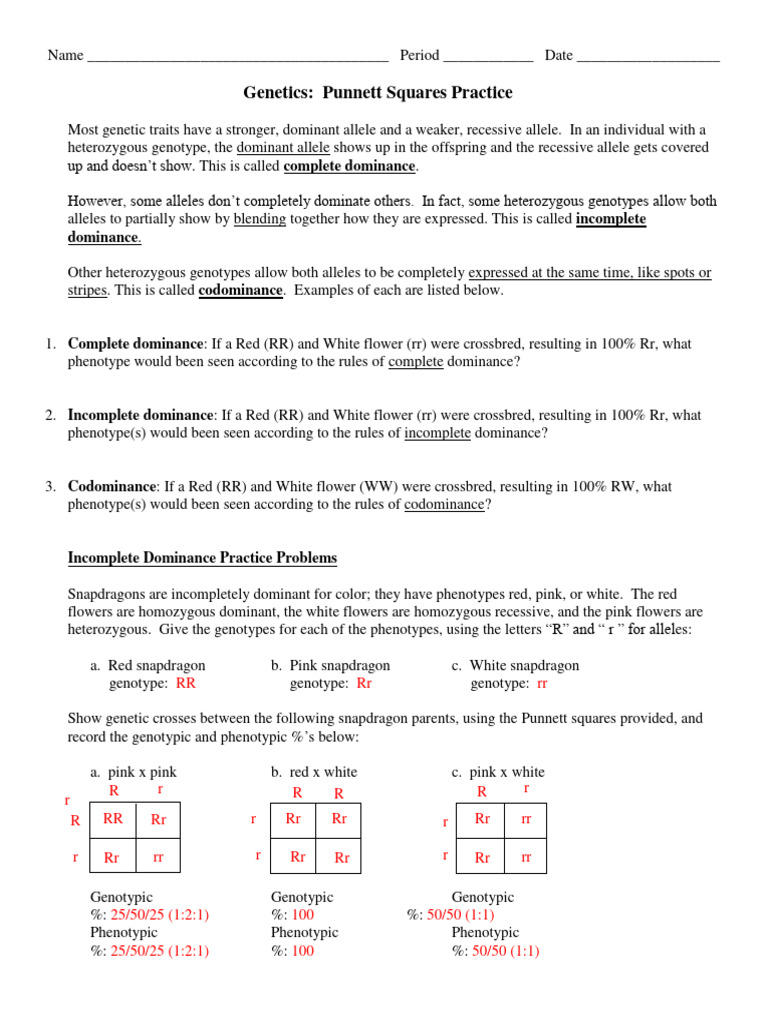 Punnett Squares Practice - Key | PDF | Dominance (Genetics) | Genotype