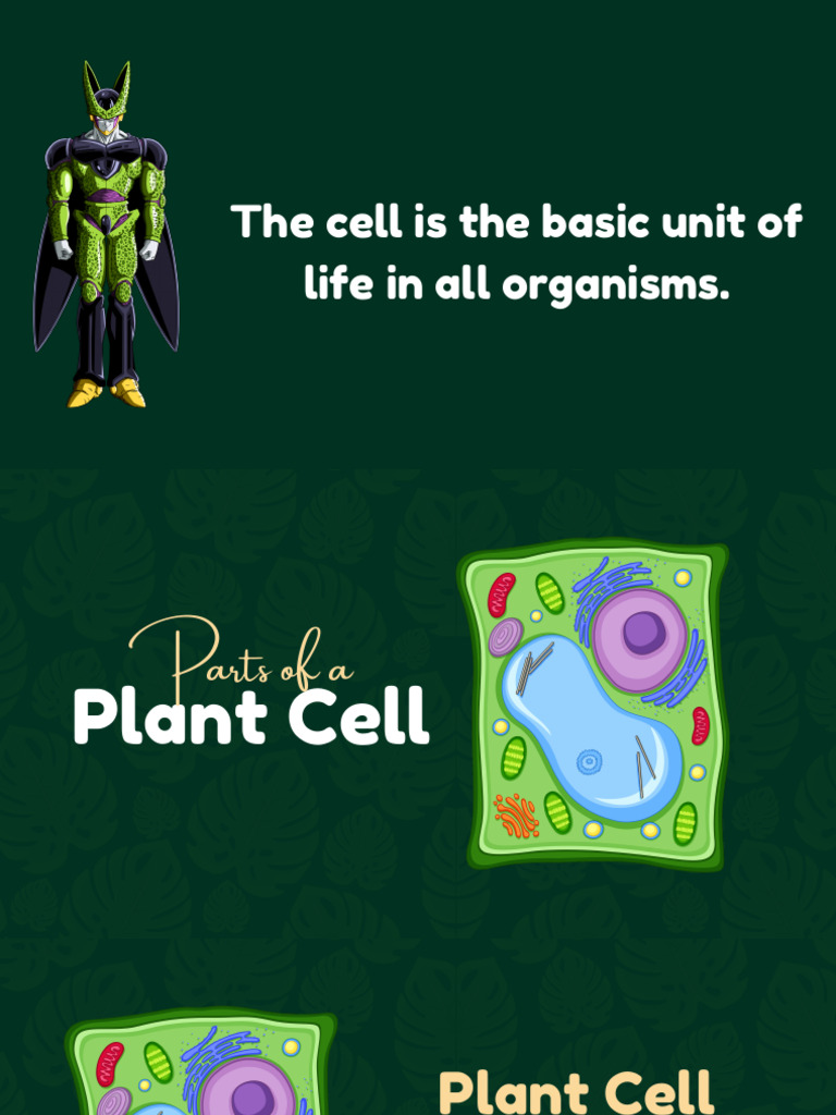 Plant Cells and Go Cook | Download Free PDF | Endoplasmic Reticulum ...