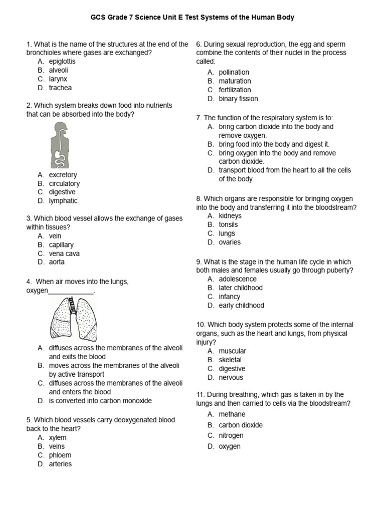 Grade 7 Science Unit Test Humanbody | PDF | Human Body | Blood