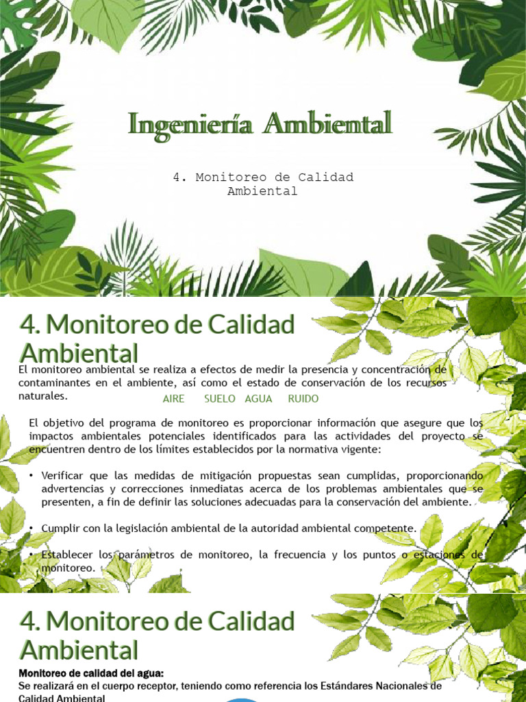 Monitoreo Ambiental - Paola Ramirez | PDF | Entorno natural | La contaminación del aire