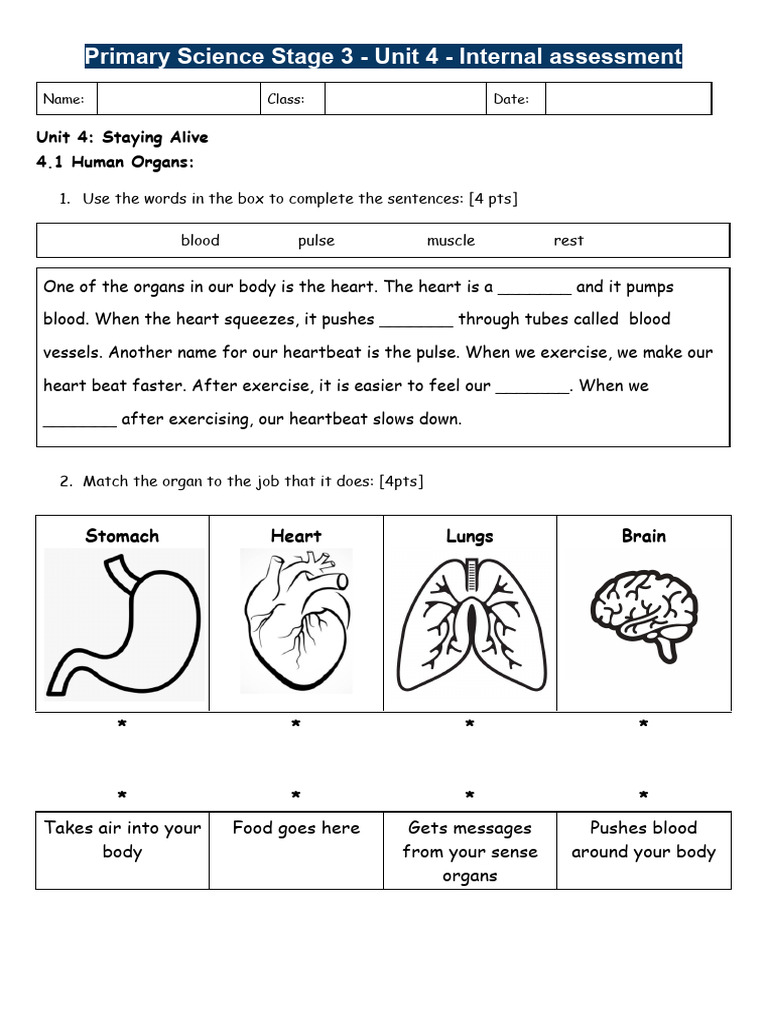 Primary Science Stage 3 Unit 4 | PDF | Frog | Heart