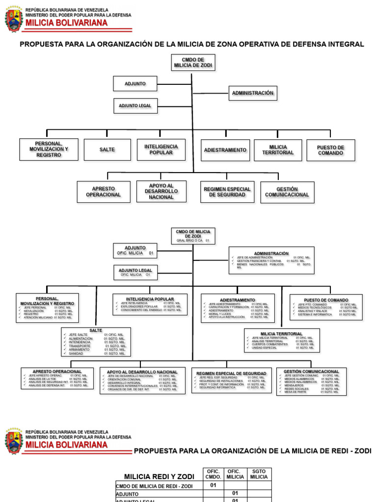 Organización Milicia ZODI-REDI | PDF | Militar