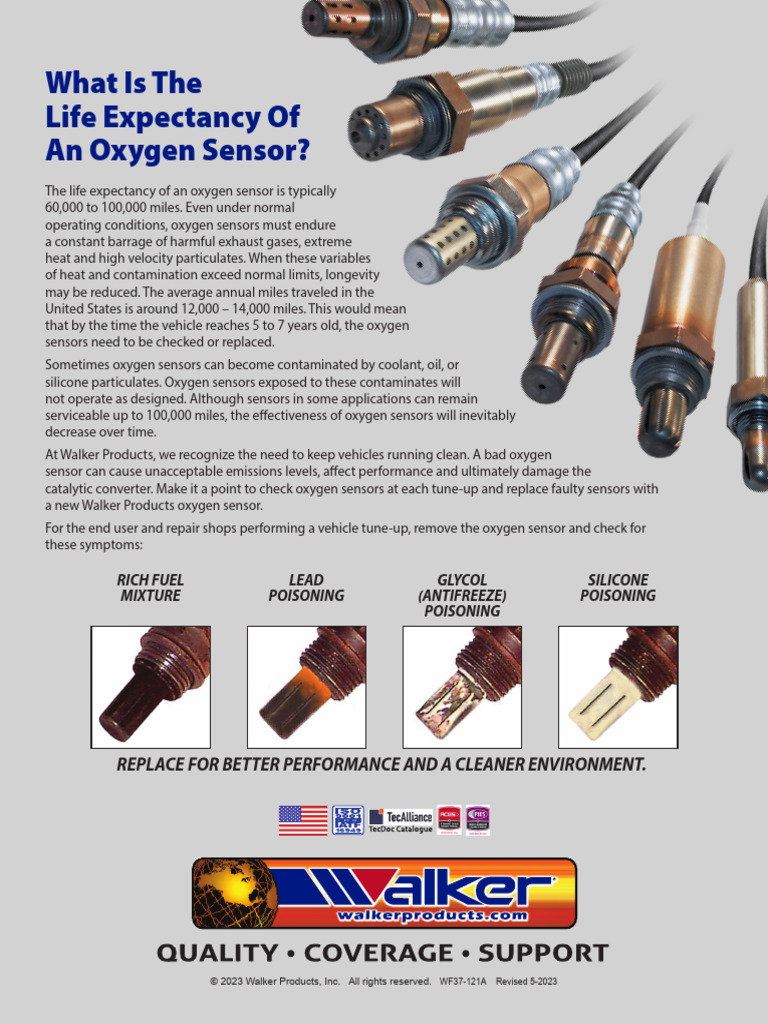 Oxygen Sensor Life Expectancy | Download Free PDF | Materials ...