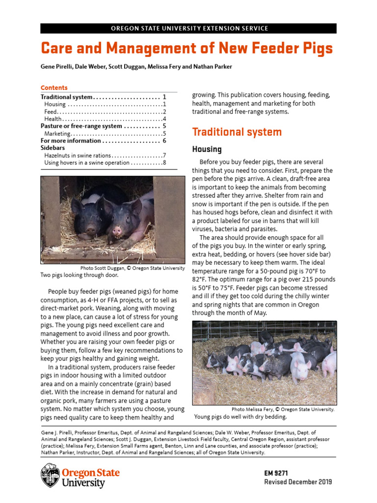 Piggery Care | PDF | Pig | Dietary Fiber
