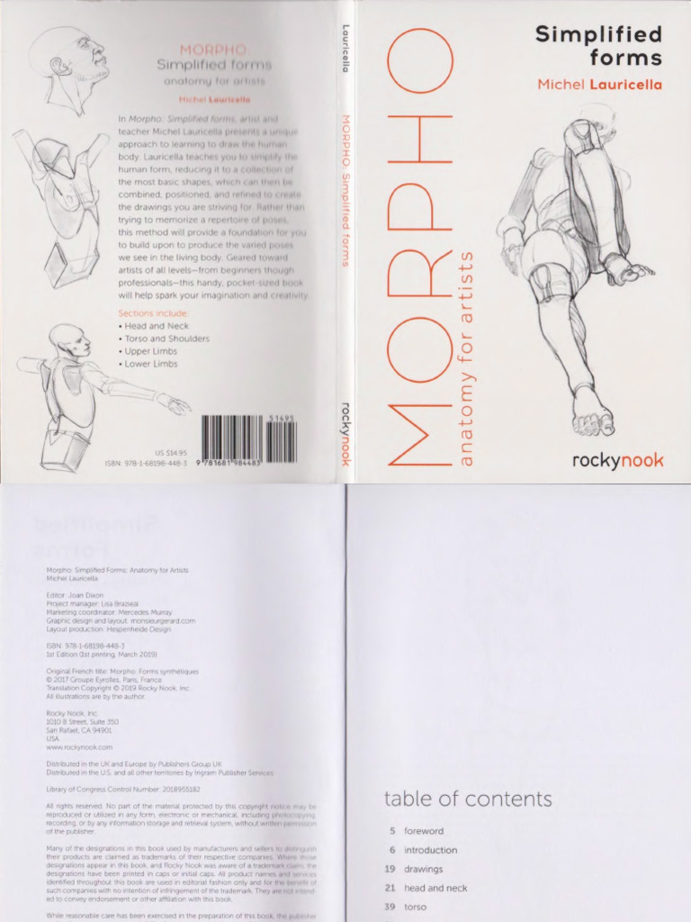 Morpho Simplified Forms Anatomy For Artists by Michel Lauricella | PDF